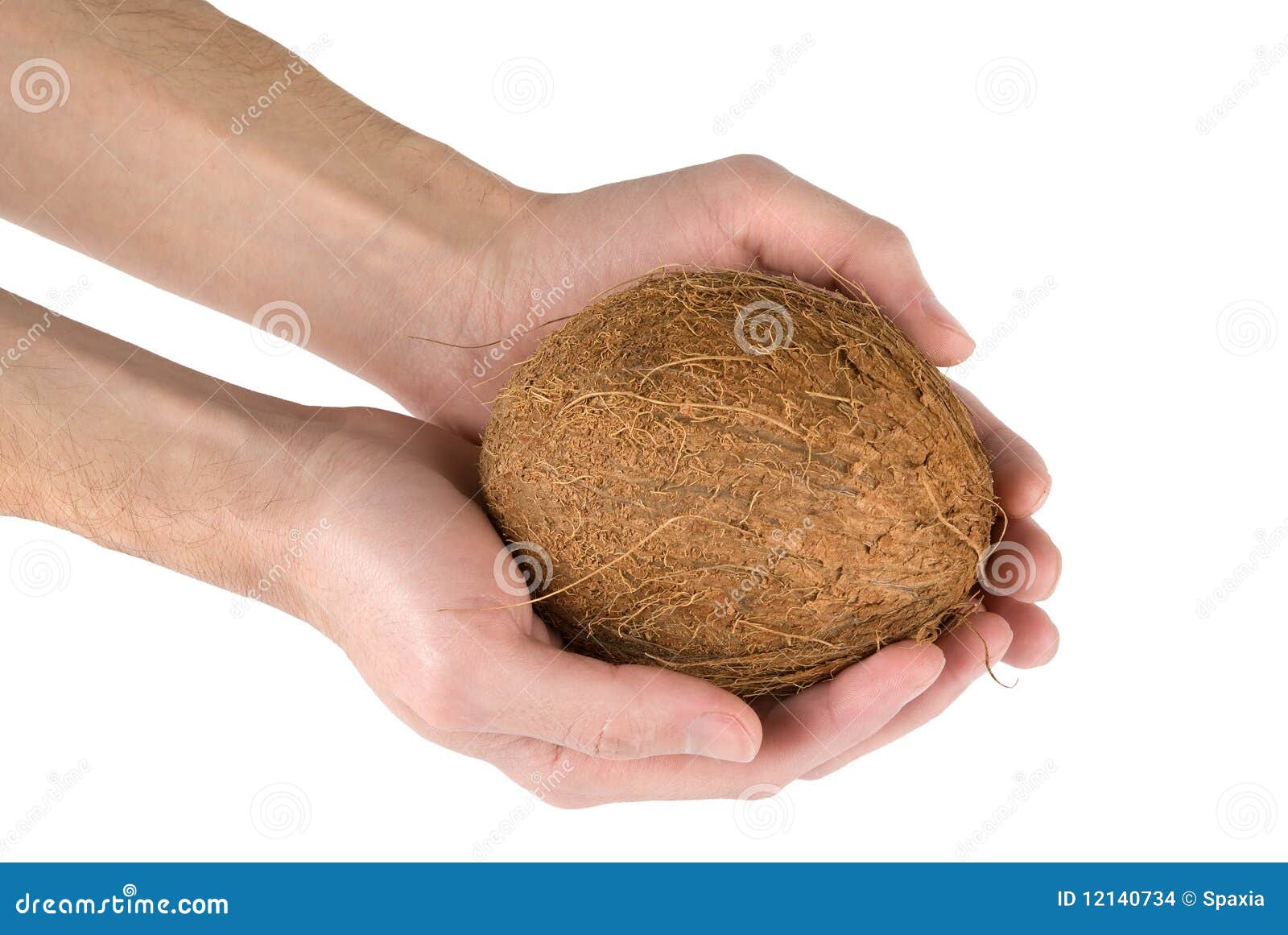 Coco En Las Manos De Un Hombre Foto de archivo - Imagen de humano ...