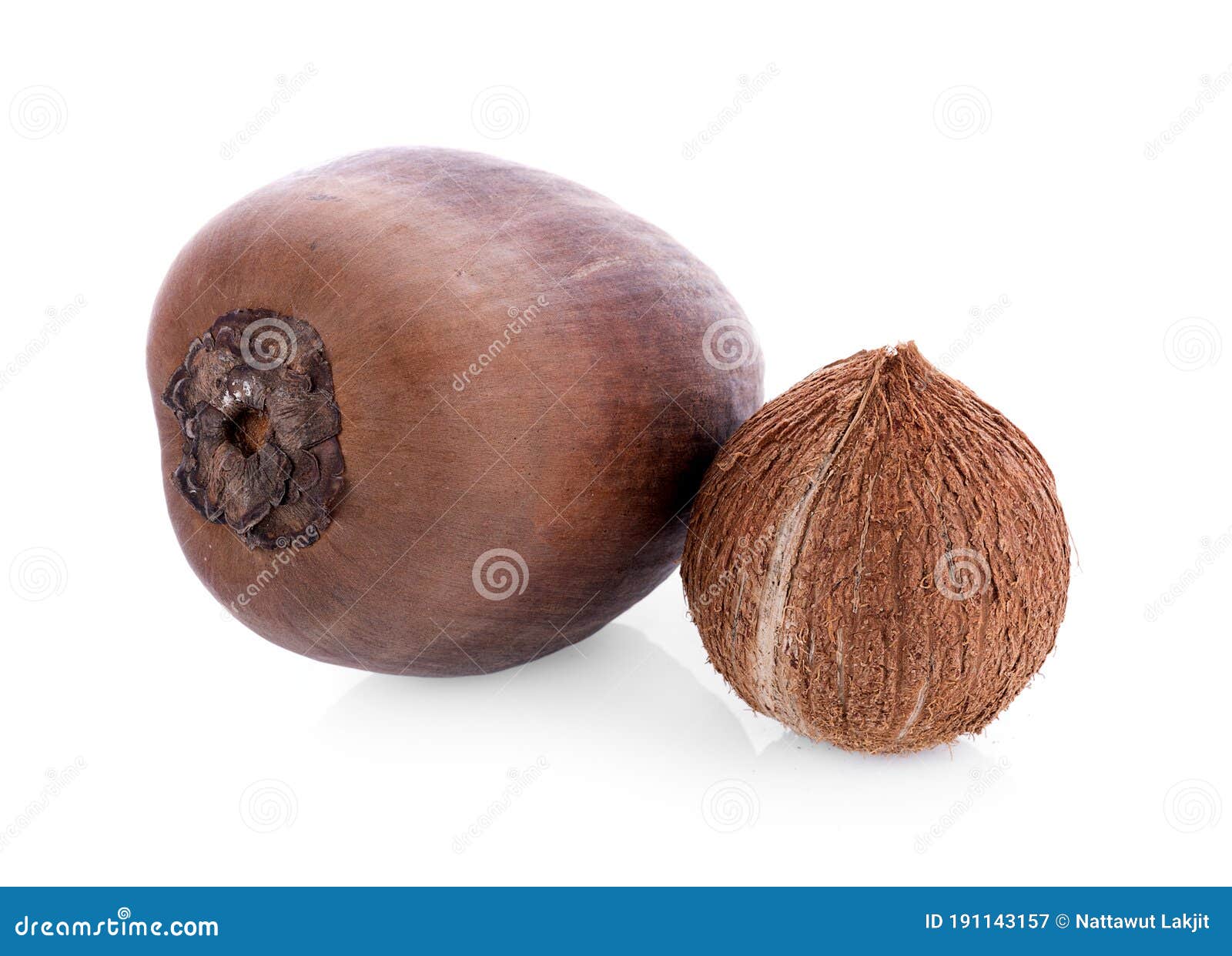 Coco en un fondo blanco imagen de archivo. Imagen de dieta - 191143157