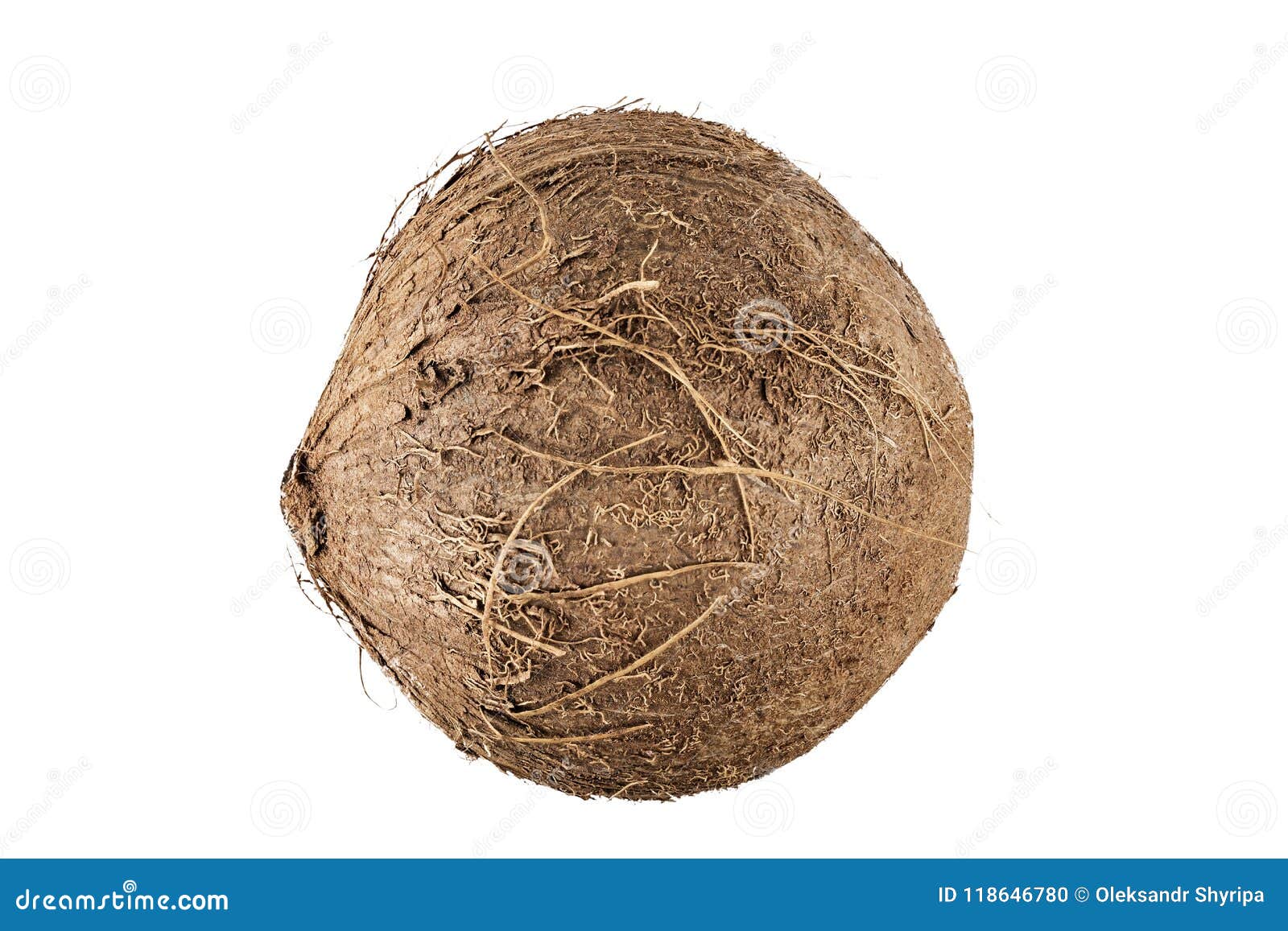 Coco entero aislado foto de archivo. Imagen de fondo - 118646780