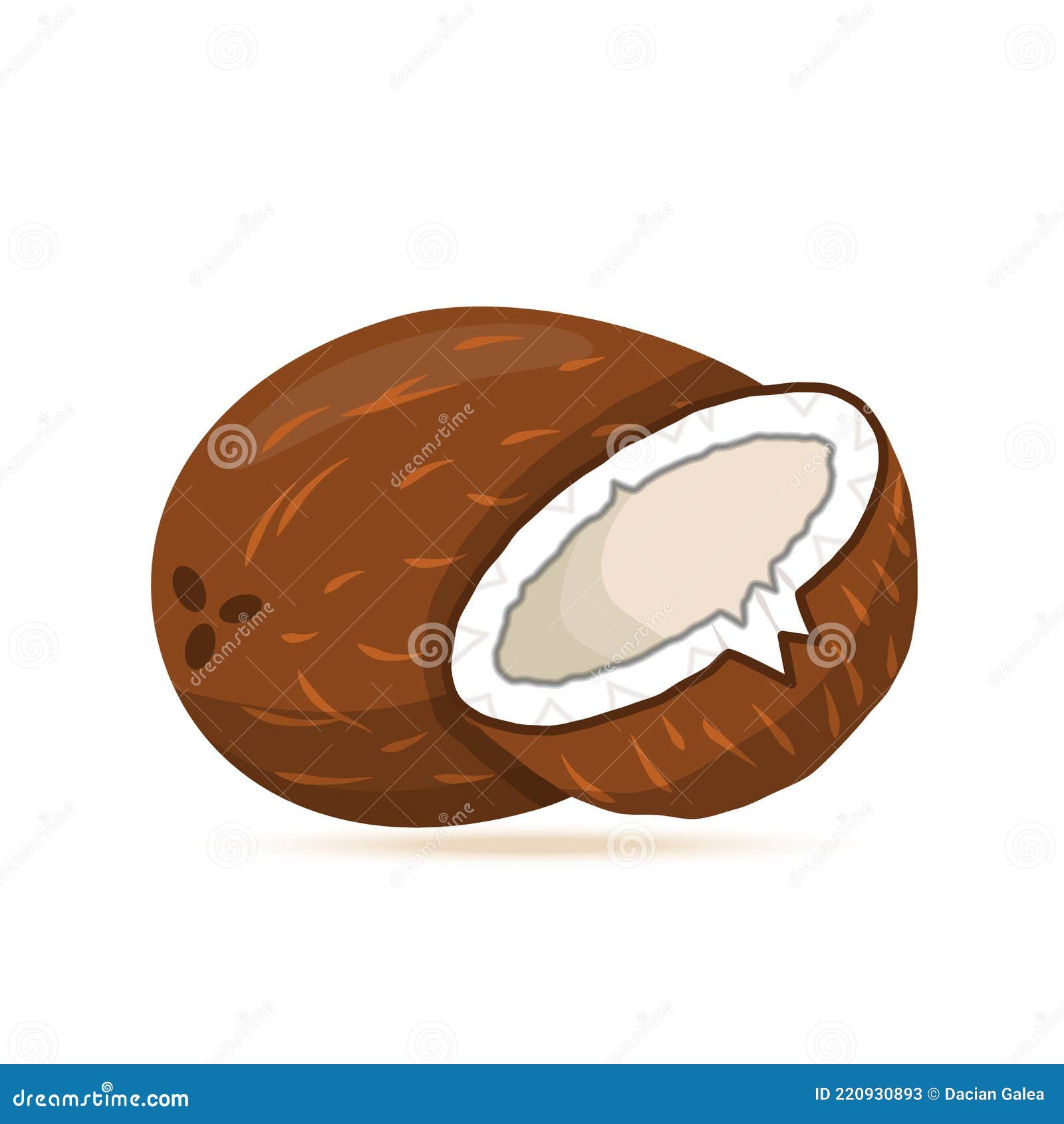 Coco Fruta Vector Icono. Ilustración Plana De Coco. Ilustración del ...