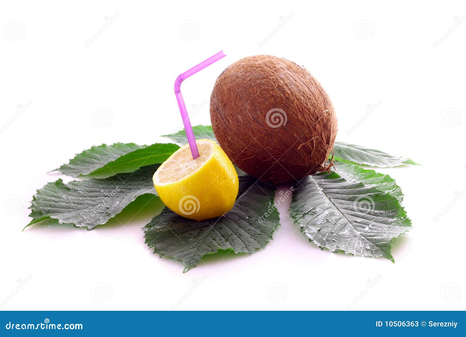 Coco, Lemon and Leaf Isolated Stock Image - Image of healthy, palm ...