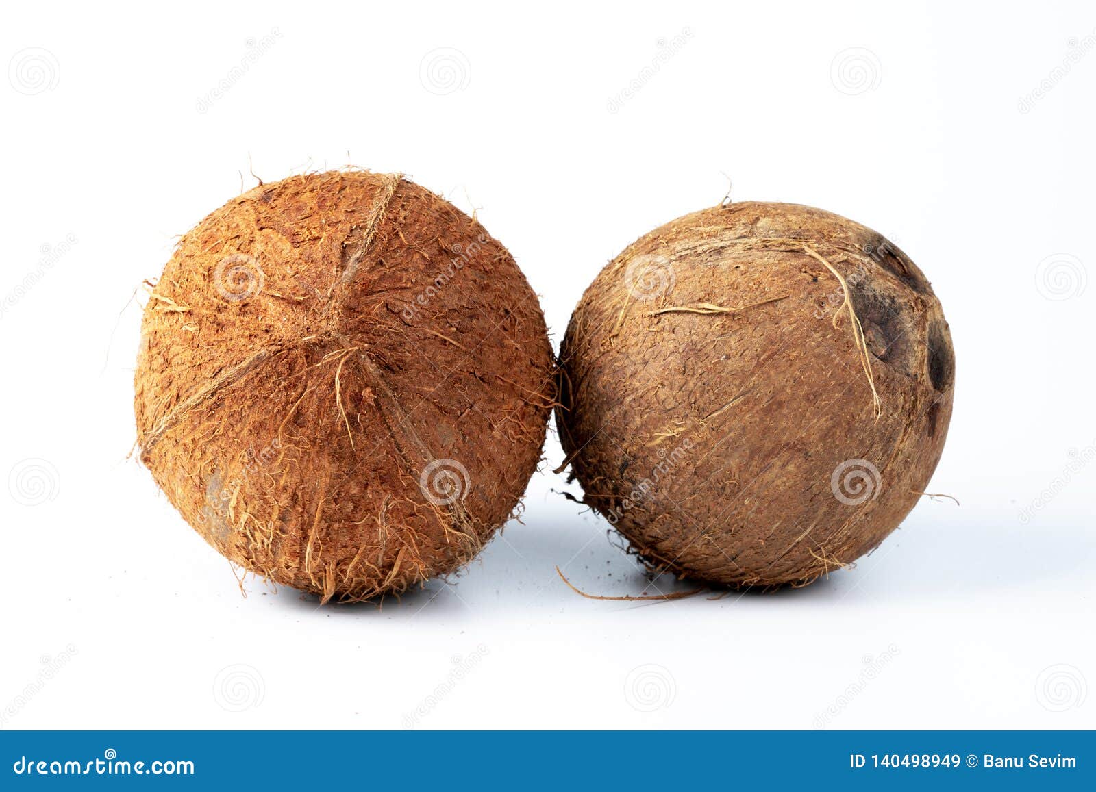 Coco maduro delicioso imagen de archivo. Imagen de objeto - 140498949