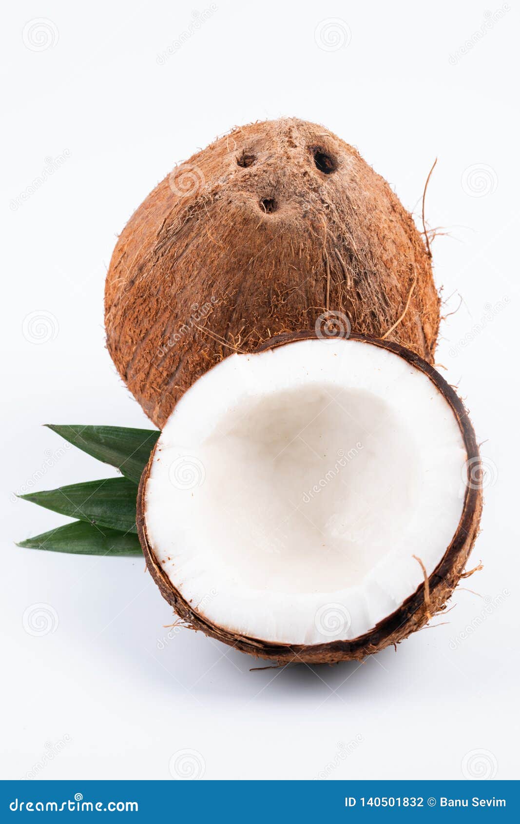 Coco maduro delicioso foto de archivo. Imagen de palma - 140501832