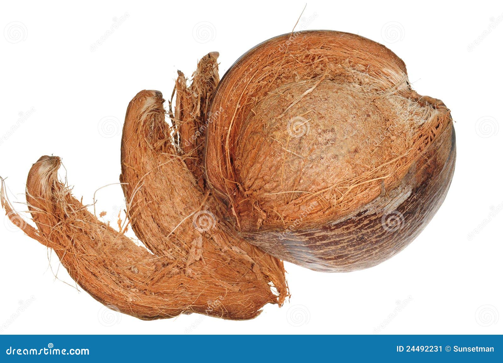 Coco maduro descascarado imagen de archivo. Imagen de abierto - 24492231