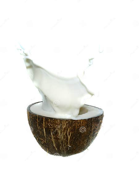 Coco with milk. stock image. Image of brown, coconut, tropical - 3151997