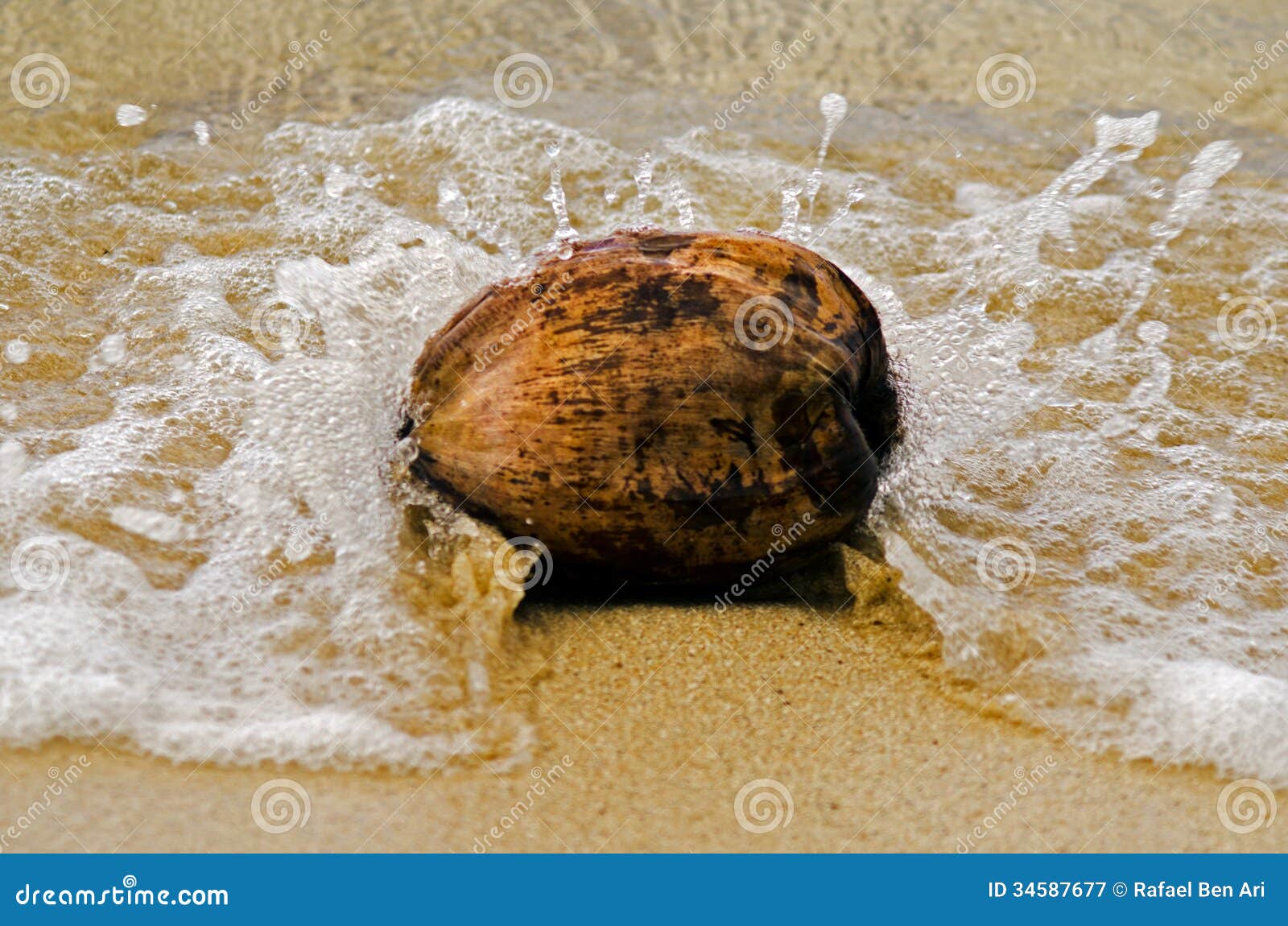Coco na praia imagem de stock. Imagem de cozinheiro, turismo - 34587677