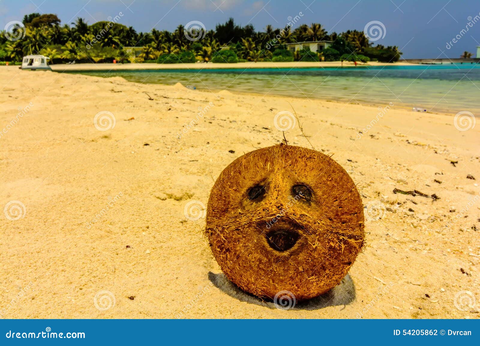 Coco na praia em Maldivas foto de stock. Imagem de praia - 54205862