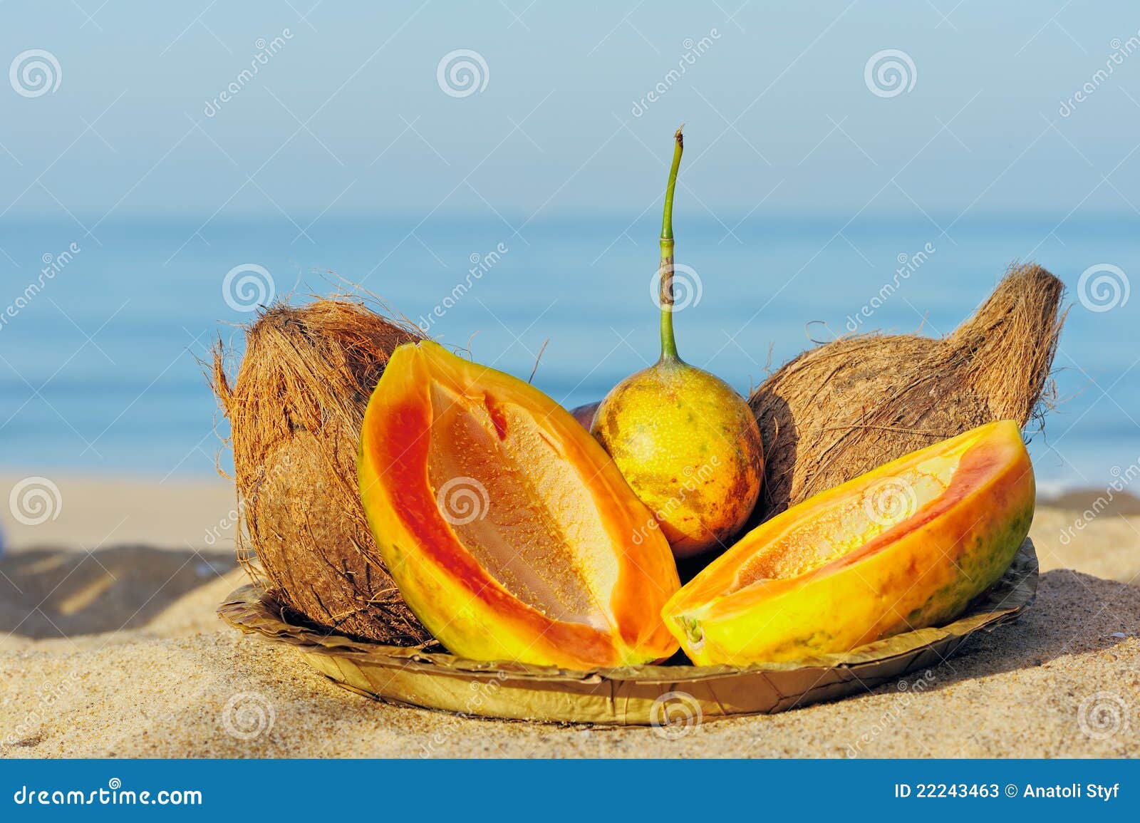 Coco and papaya stock image. Image of healthy, shore - 22243463