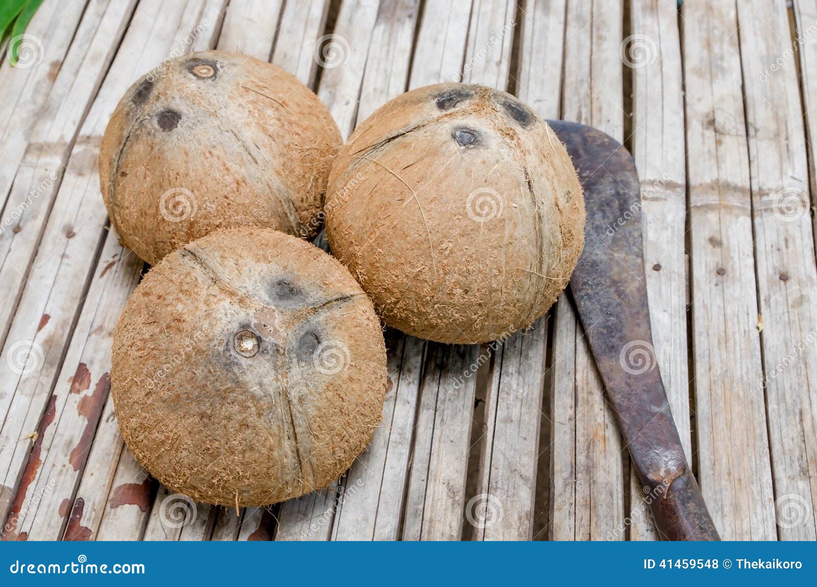 Coco pelado foto de archivo. Imagen de rotura, tailandia - 41459548