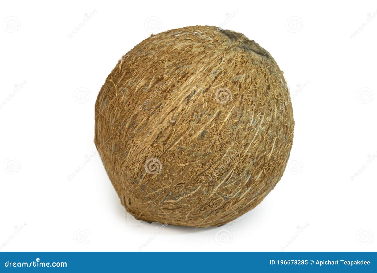 Coco pelado imagen de archivo. Imagen de objeto, fresco - 196678285