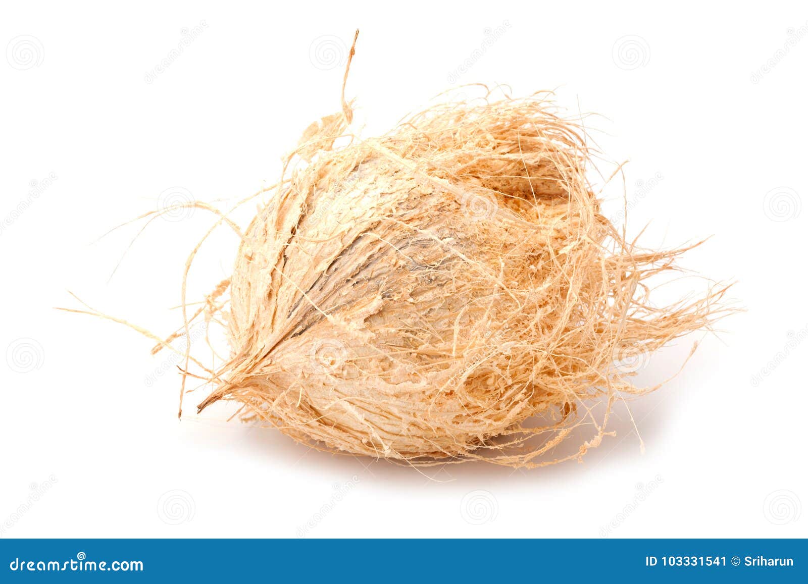 Coco Pelado En El Fondo Blanco Imagen de archivo - Imagen de fruta ...