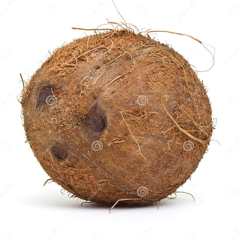 Coco peludo foto de stock. Imagem de delicioso, alimento - 17418134