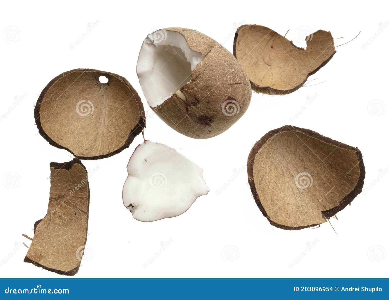 Coco Picado Aislado Sobre Un Blanco Foto de archivo - Imagen de coco ...
