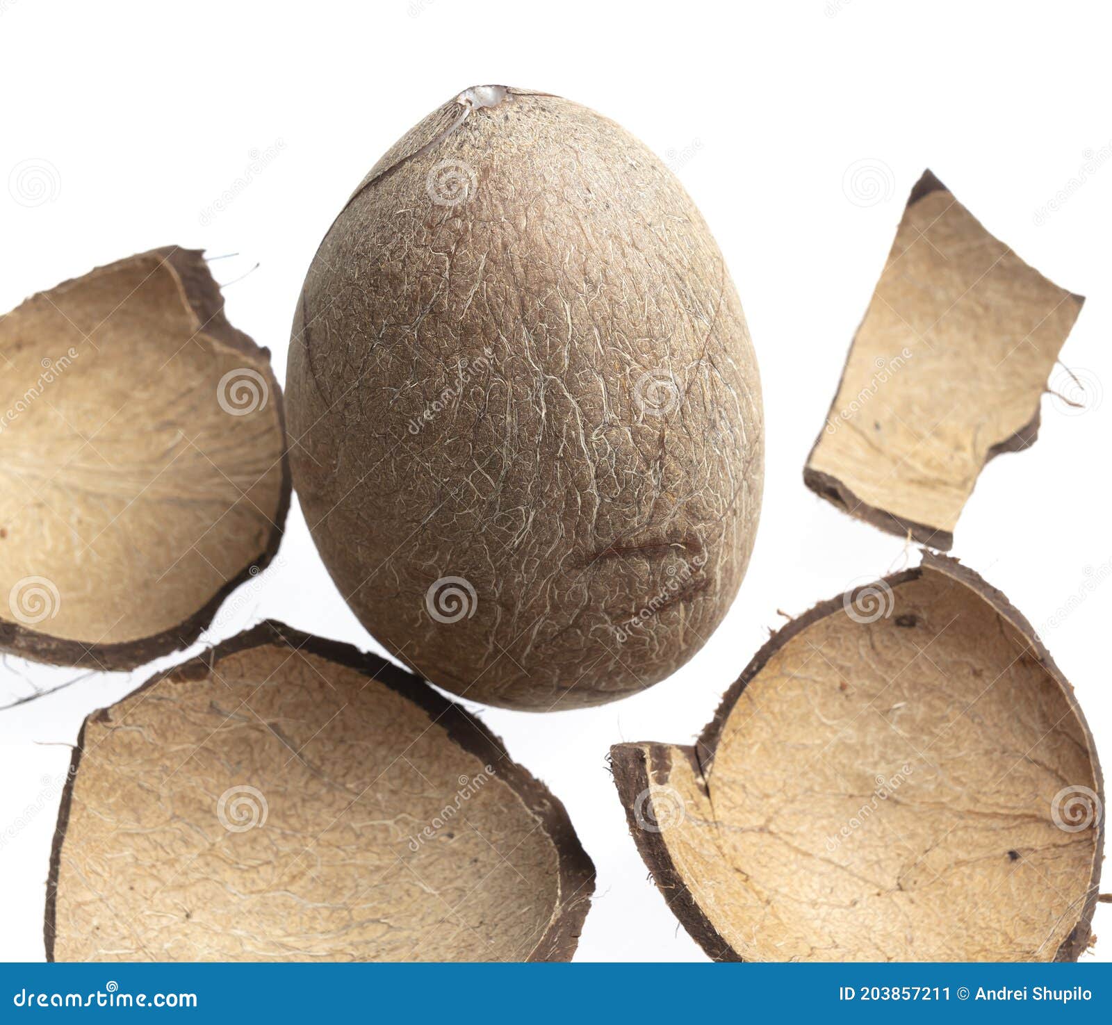 Coco Picado Aislado Sobre Un Blanco Imagen de archivo - Imagen de ...