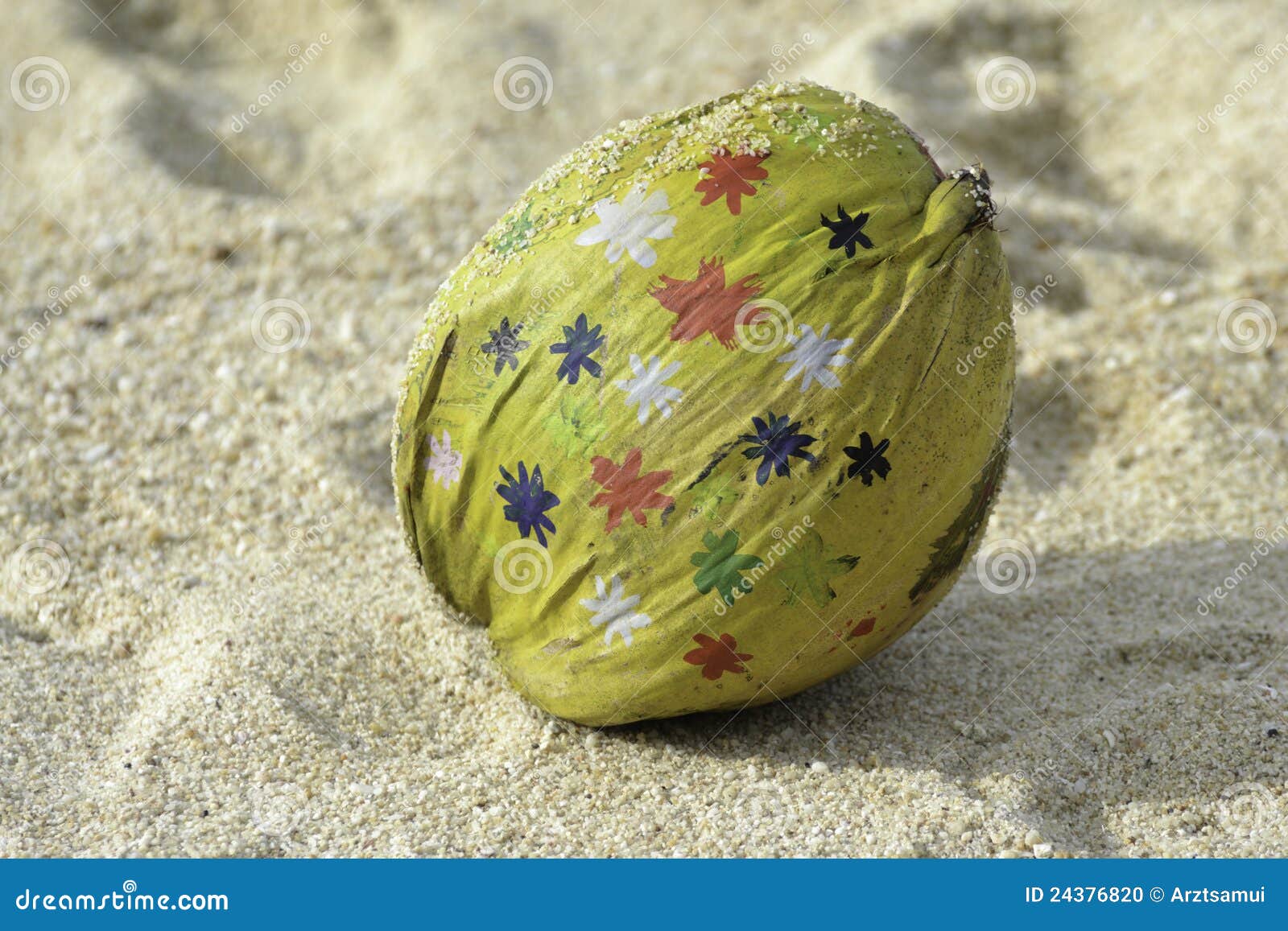 Coco pintado foto de archivo. Imagen de tropical, tuerca - 24376820