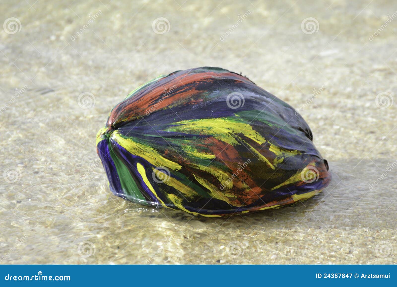 Coco pintado imagem de stock. Imagem de alimento, porca - 24387847