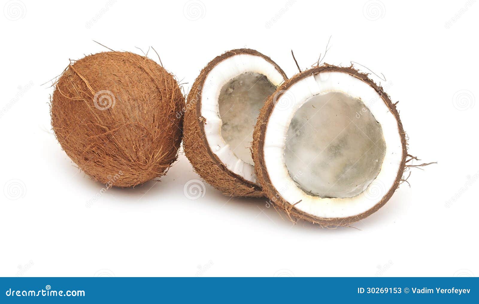 Coco podre imagem de stock. Imagem de quadro, podre, porca - 30269153