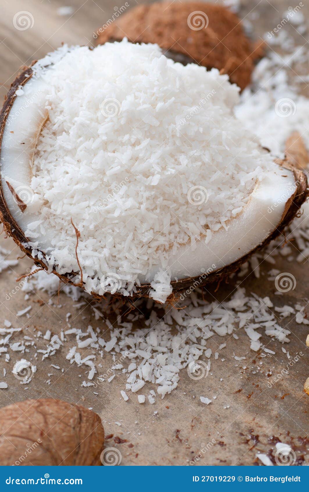 Coco rallado imagen de archivo. Imagen de rallado, desecado - 27019229