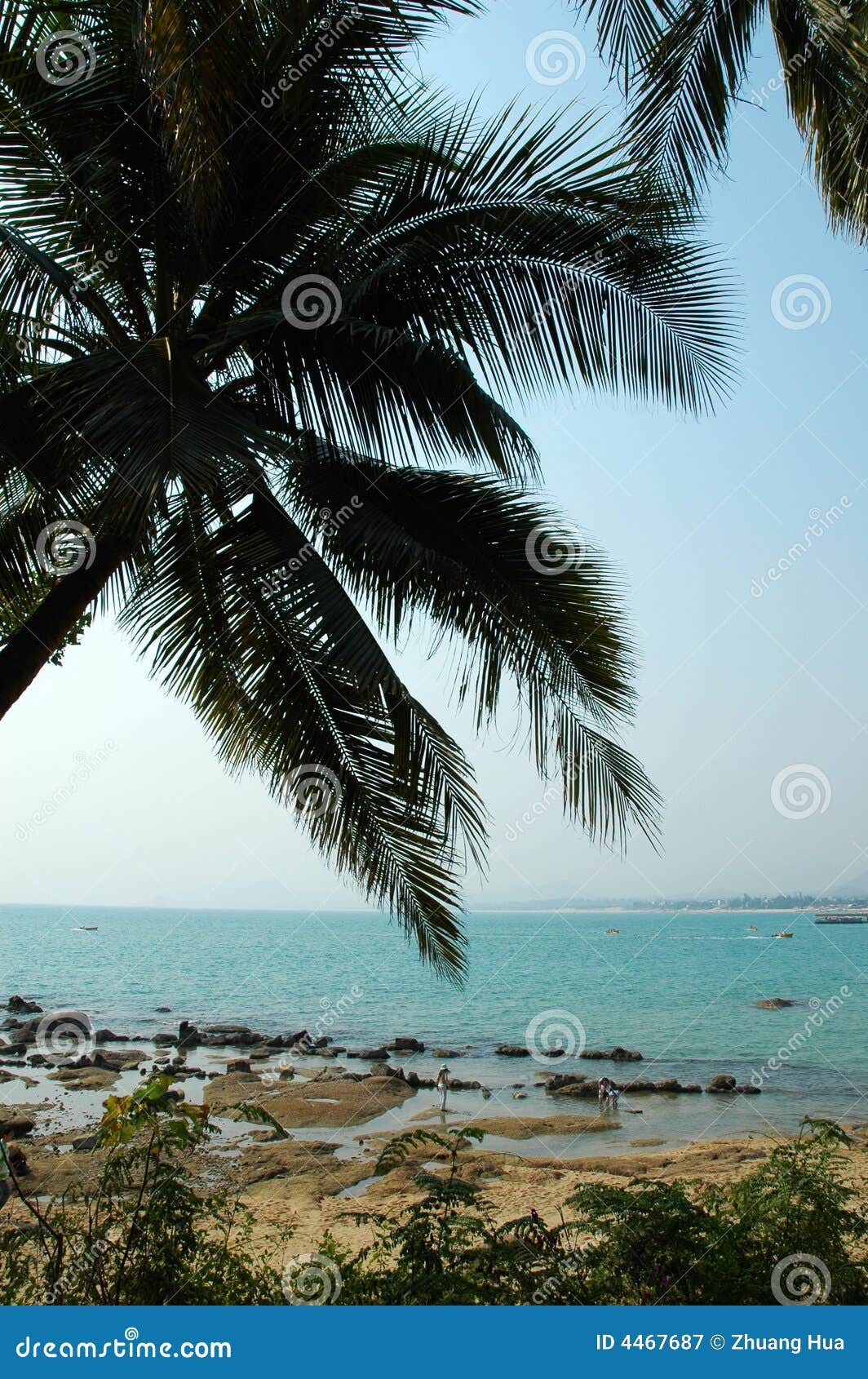 Coco and sea-3 stock image. Image of china, coconut, honeymoon - 4467687