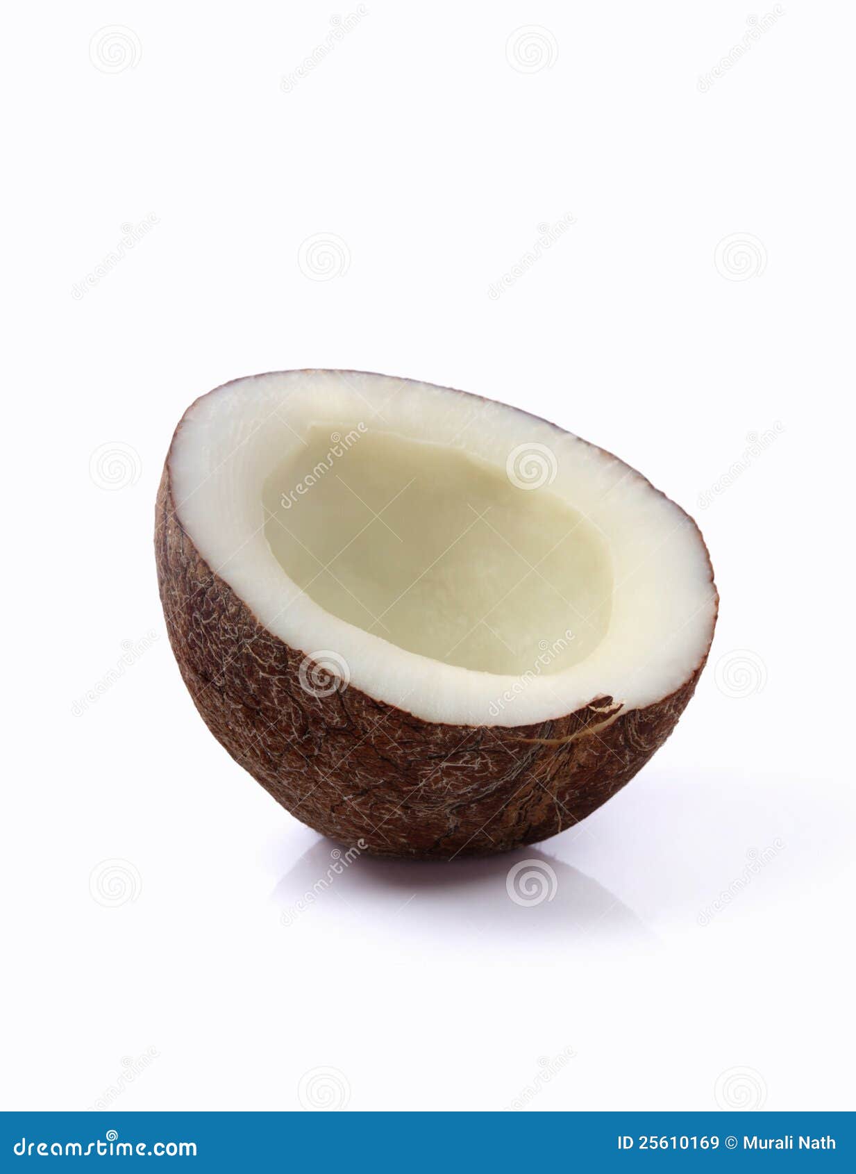 Coco secado indio imagen de archivo. Imagen de tropical - 25610169