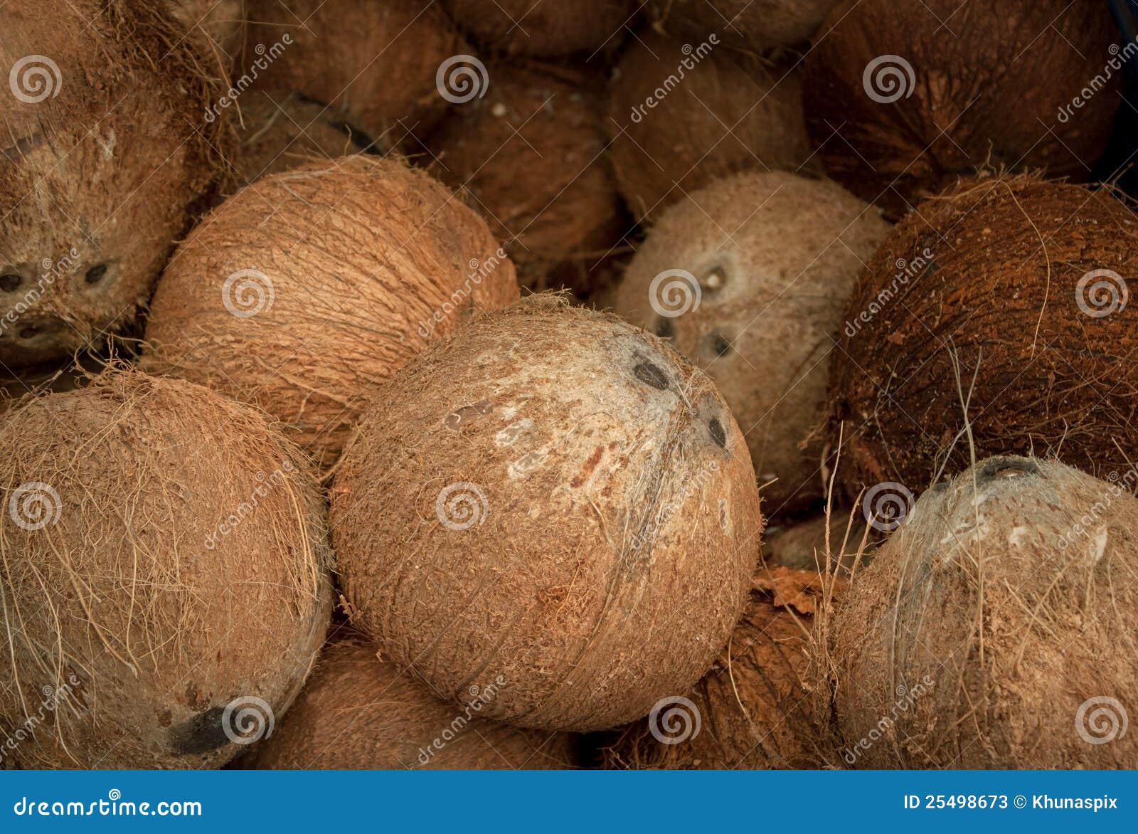 Coco seco imagem de stock. Imagem de mercado, agricultura - 25498673