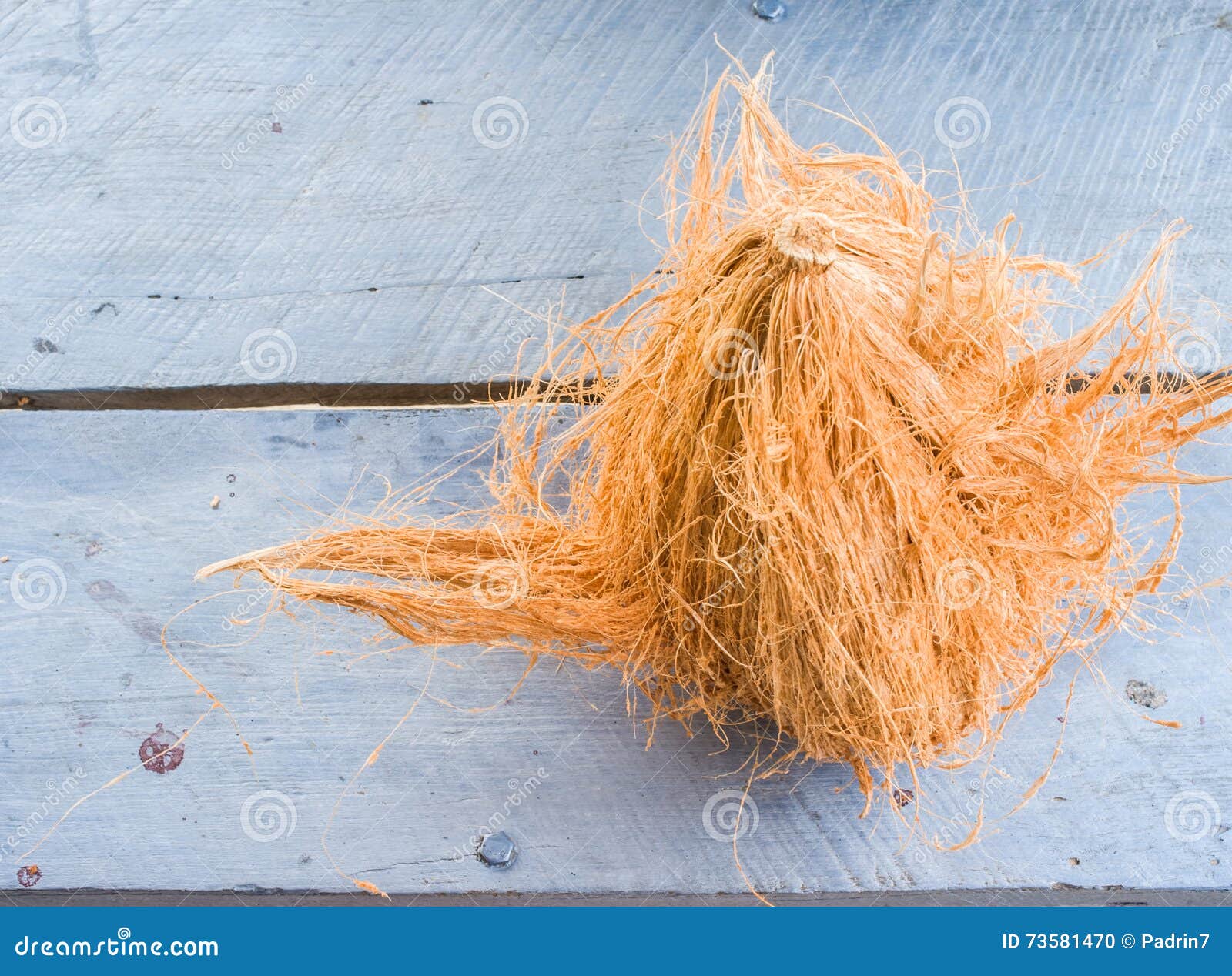 Coco seco foto de archivo. Imagen de cubo, asia, fruta - 73581470