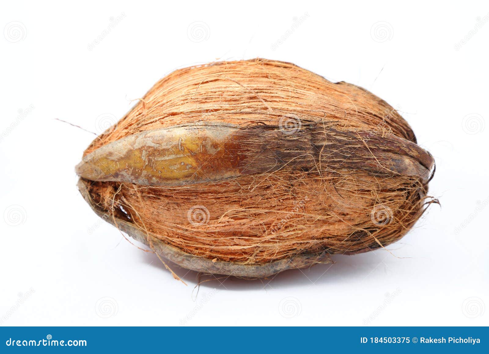 Coco Seco Aislado De Fondo Blanco Imagen de archivo - Imagen de ...