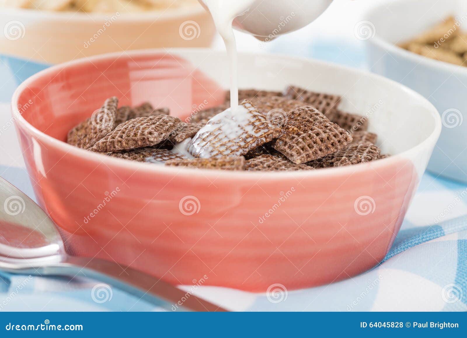 Coco Shreddies stock photo. Image of bowl, delicious - 64045828