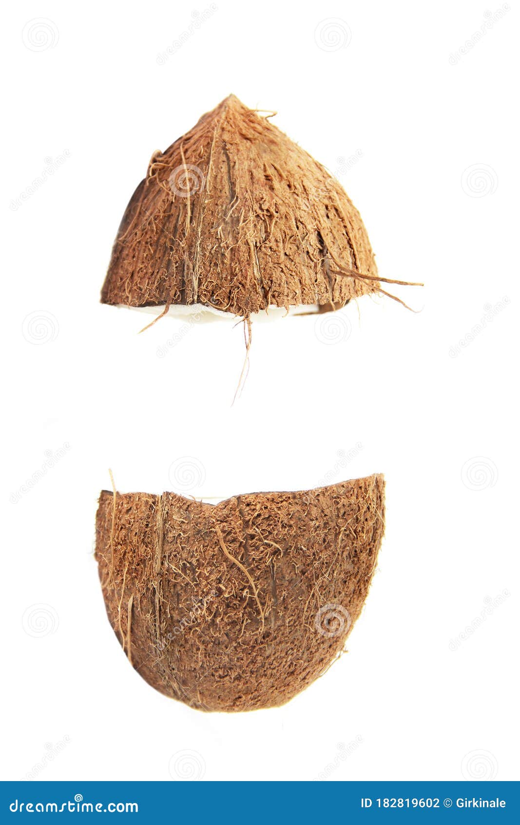 Coco Sobre Fundo Branco. Cocos Nucifera Foto de Stock - Imagem de palma ...