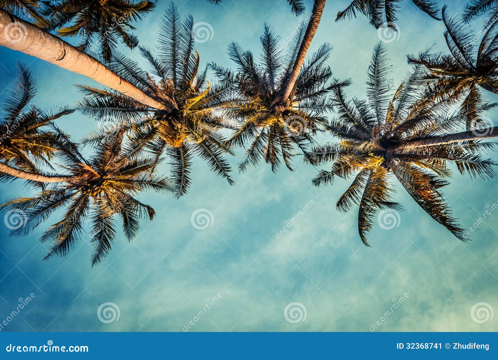 Coco trees stock image. Image of leaf, tropical, sunshine - 32368741