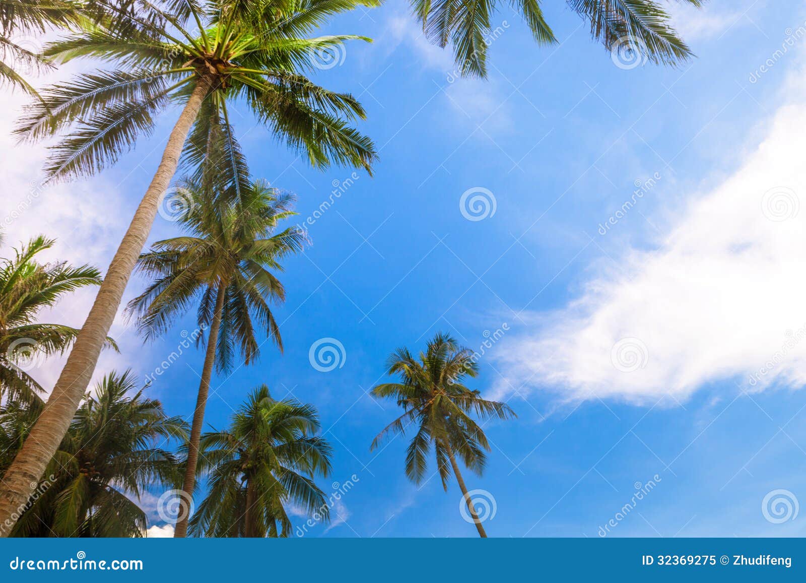 Coco trees stock image. Image of bule, arecales, caribbean - 32369275