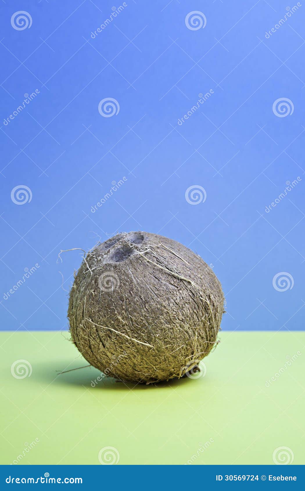 Coco tropical cerrado foto de archivo. Imagen de coco - 30569724