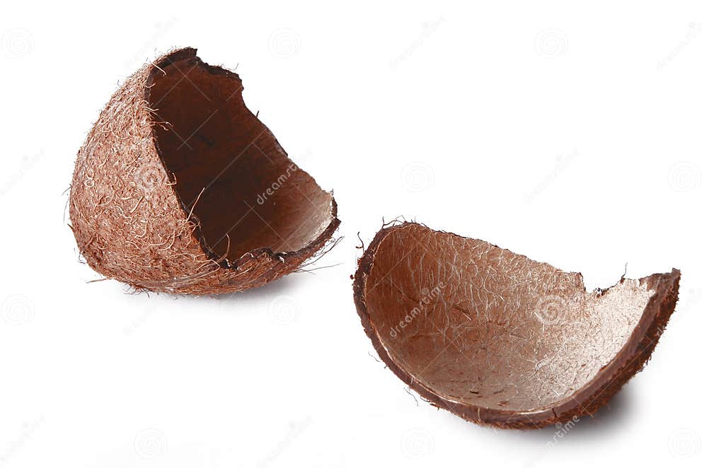 Coco vacío imagen de archivo. Imagen de objetos, imagen - 11297067