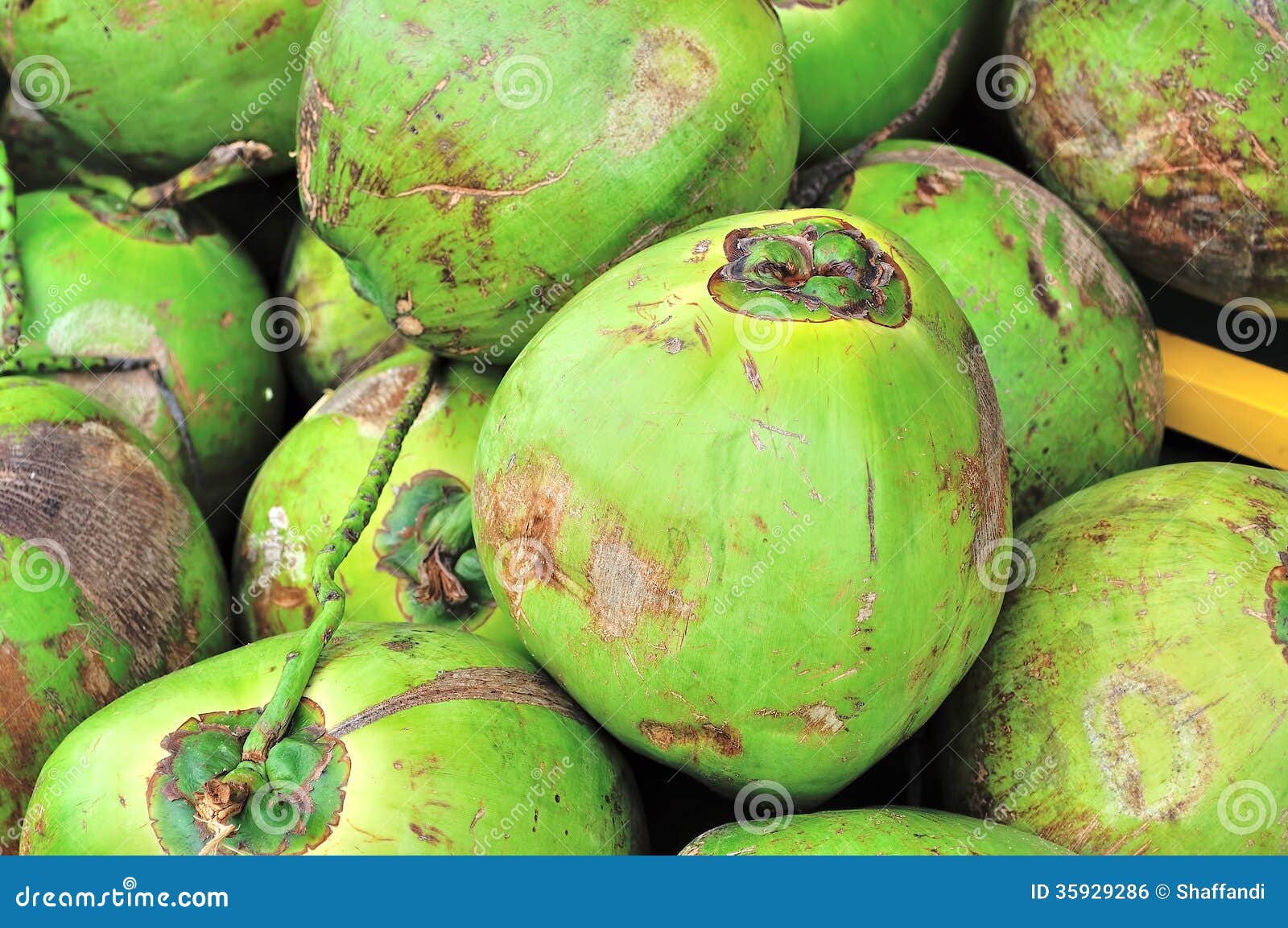 Coco verde foto de stock. Imagem de porca, sunlight, ingrediente - 35929286