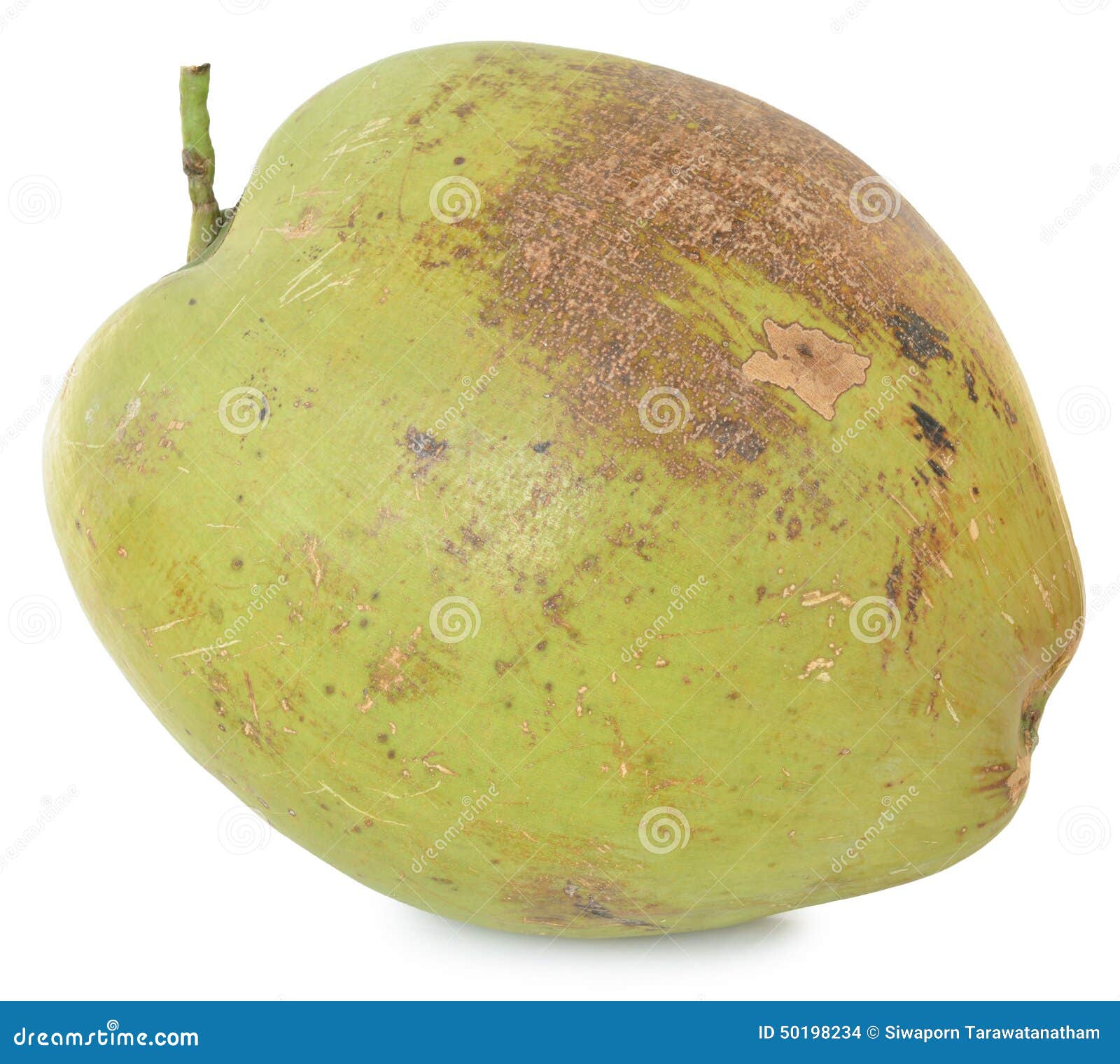 Coco verde foto de archivo. Imagen de fondo, exótico - 50198234