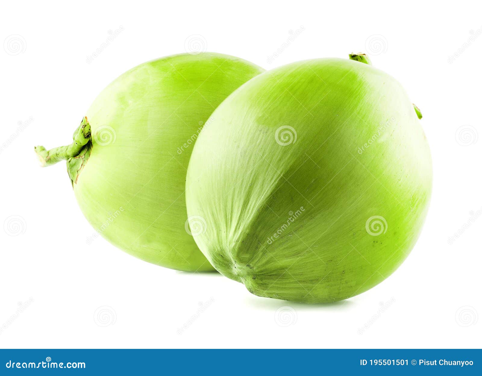 Coco Verde Aislado De Fondo Blanco Imagen de archivo - Imagen de salud ...