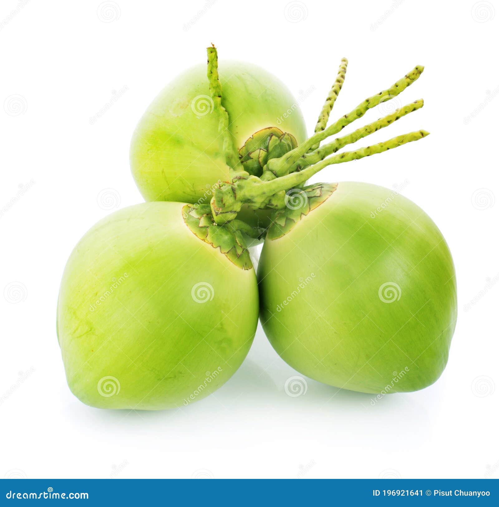 Coco Verde Aislado De Fondo Blanco Imagen de archivo - Imagen de nadie ...