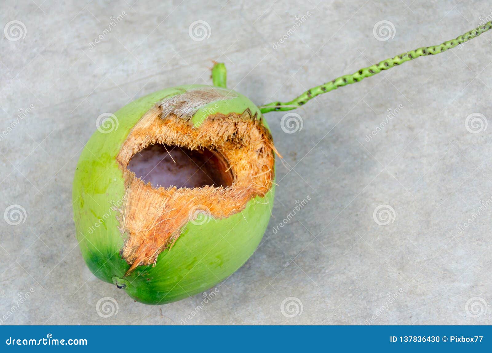 Coco Verde Com Furo Na Terra Foto de Stock - Imagem de fruta, dieta ...
