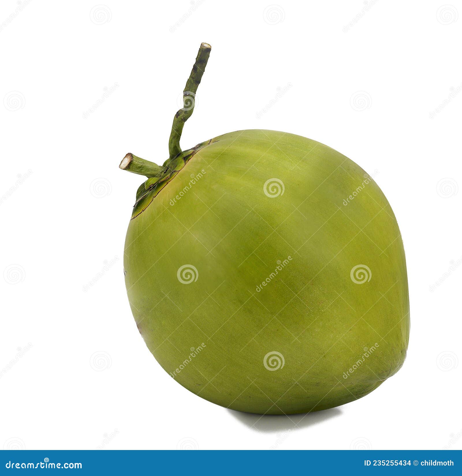 Coco verde foto de archivo. Imagen de bolsillo, verde - 235255434