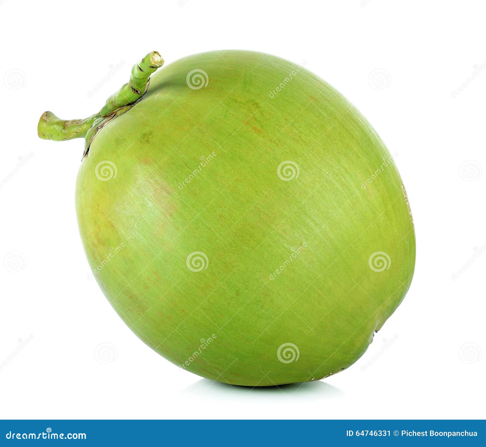 Coco Verde En El Fondo Blanco Imagen de archivo - Imagen de sabroso ...