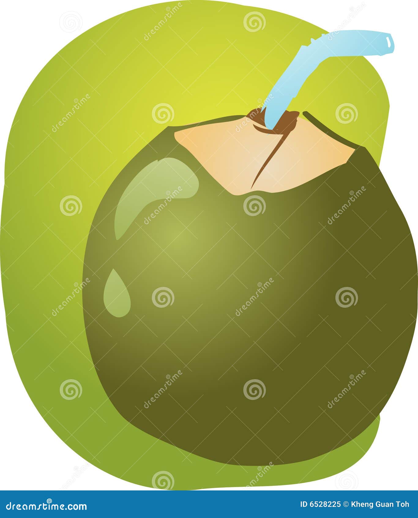 Coco verde novo ilustração do vetor. Ilustração de palha - 6528225