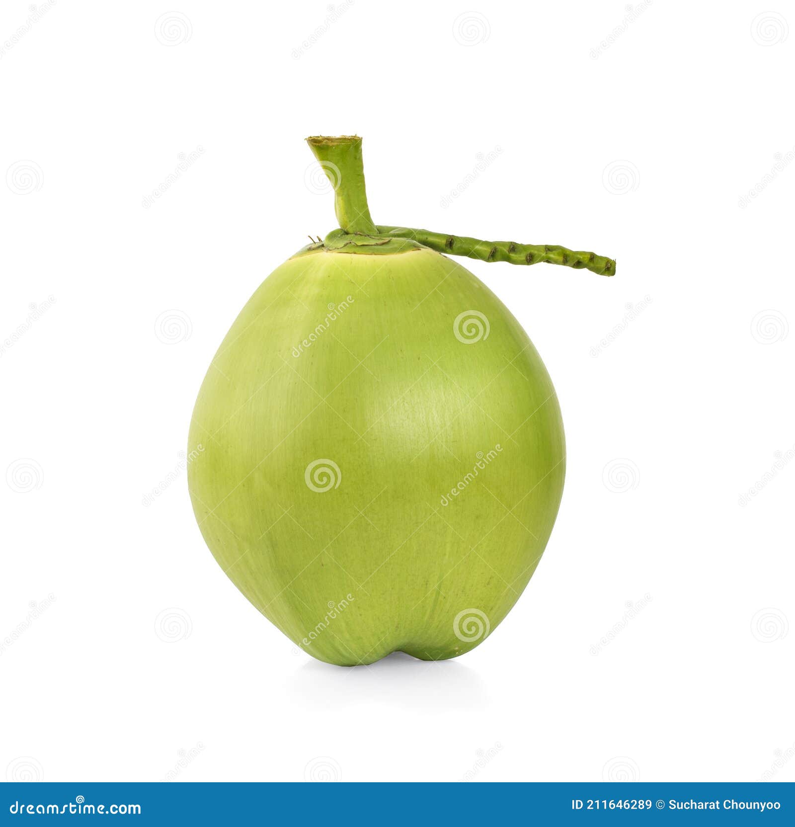 Coco Verde Y Aislado Sobre Fondo Blanco Imagen de archivo - Imagen de ...