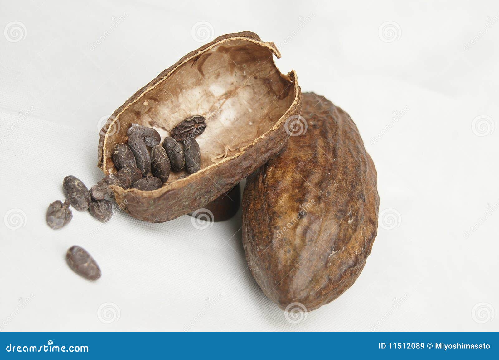 Cocoa stock image. Image of brown, detail, life, macro - 11512089