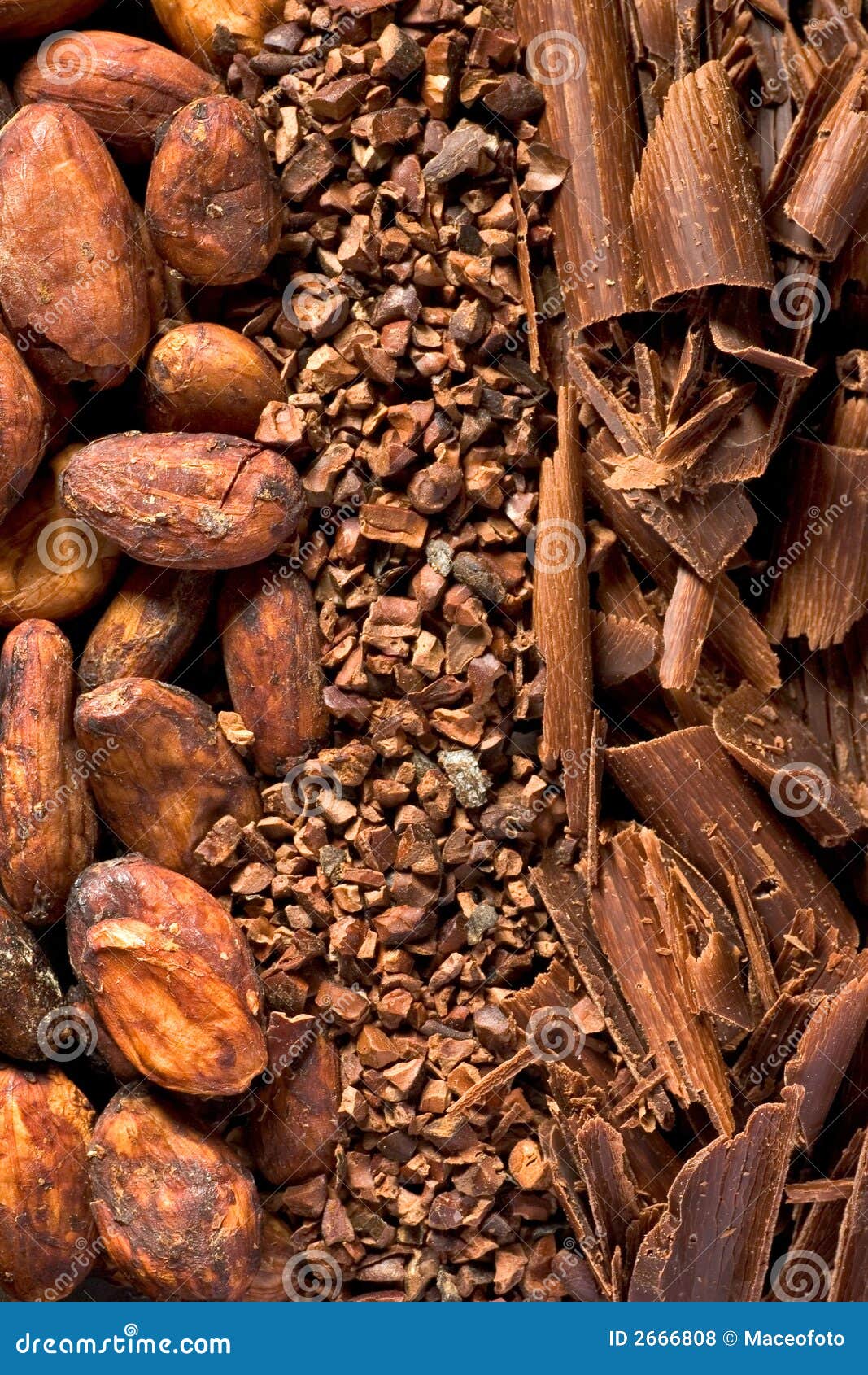 Cocoa stock photo. Image of dark, organic, sweet, antioxidant - 2666808
