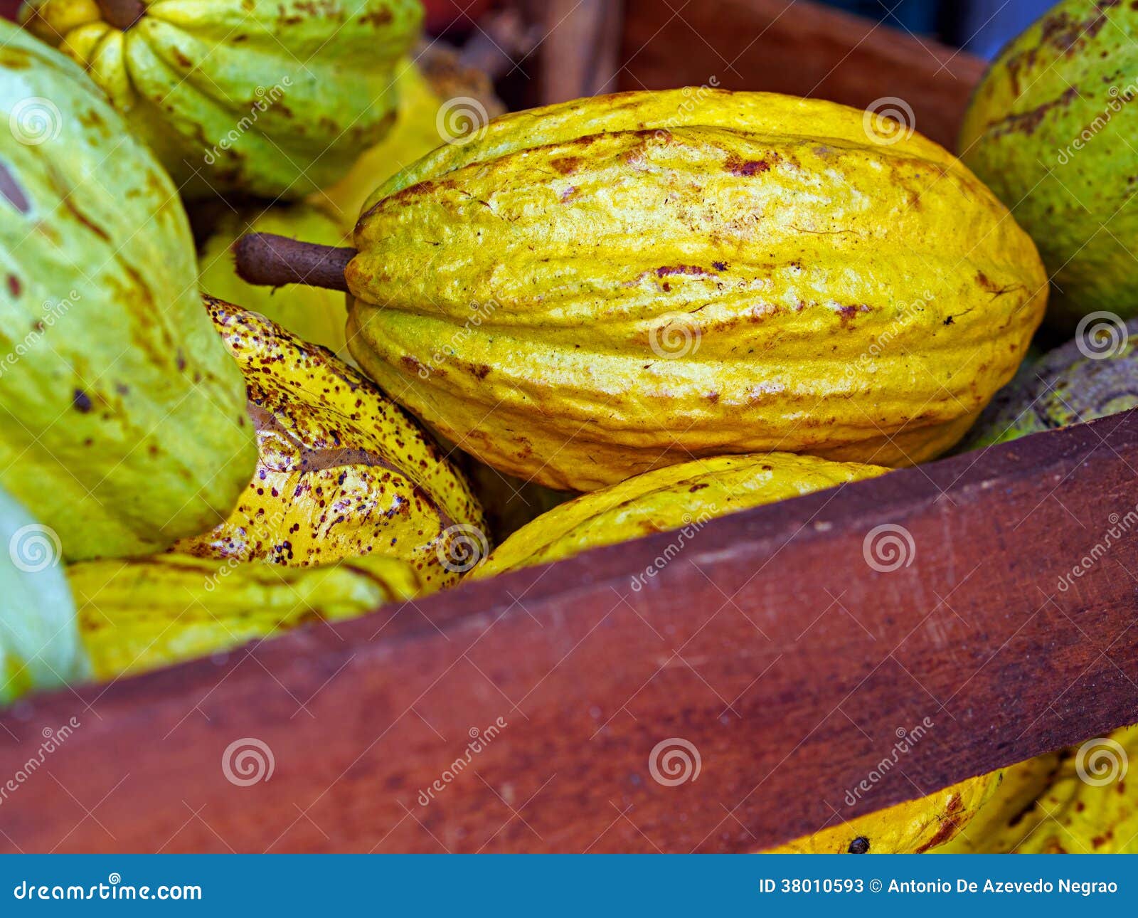 Cocoa stock image. Image of drink, cocoa, freshness, exotic - 38010593