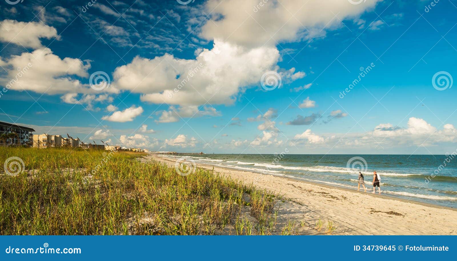 Cocoa Beach stock image. Image of graminaceous, nature - 34739645