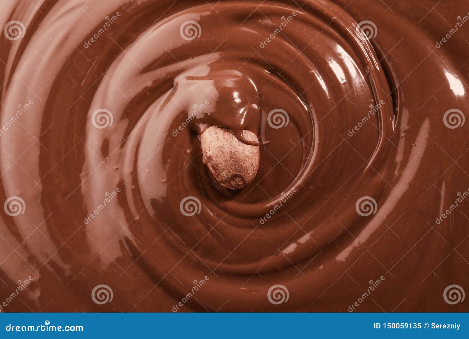 Cocoa Bean in Melted Chocolate, Closeup Stock Image - Image of ...