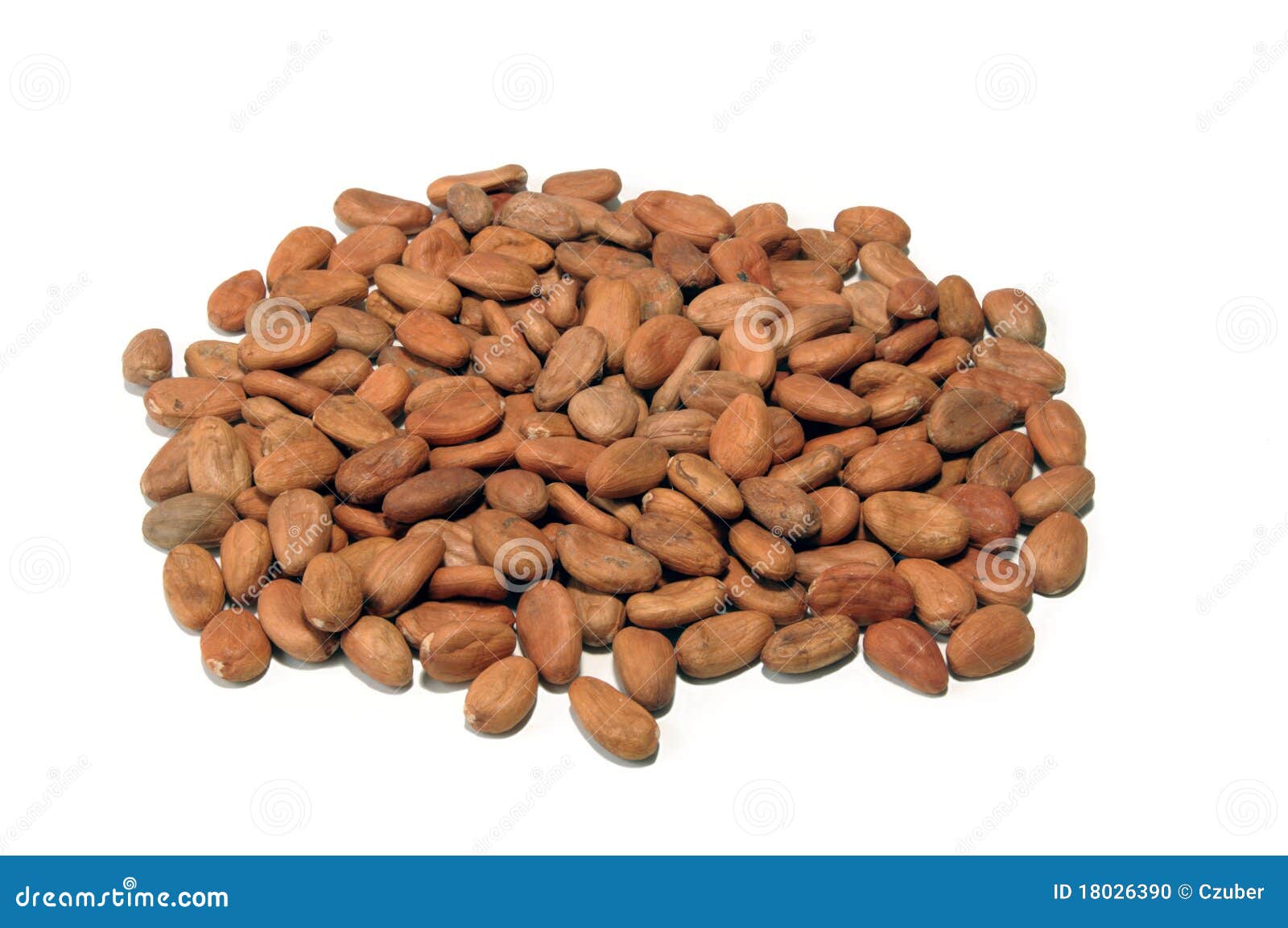 Cocoa beans stock photo. Image of brown, beans, cacao - 18026390