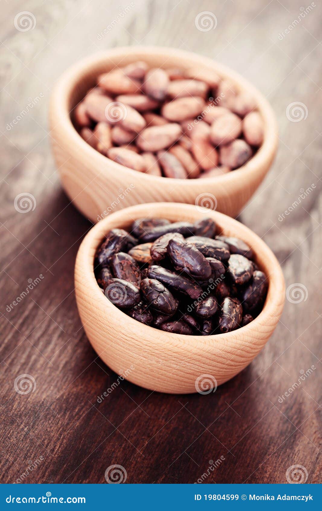 Cocoa beans stock image. Image of bean, heap, gourmet - 19804599