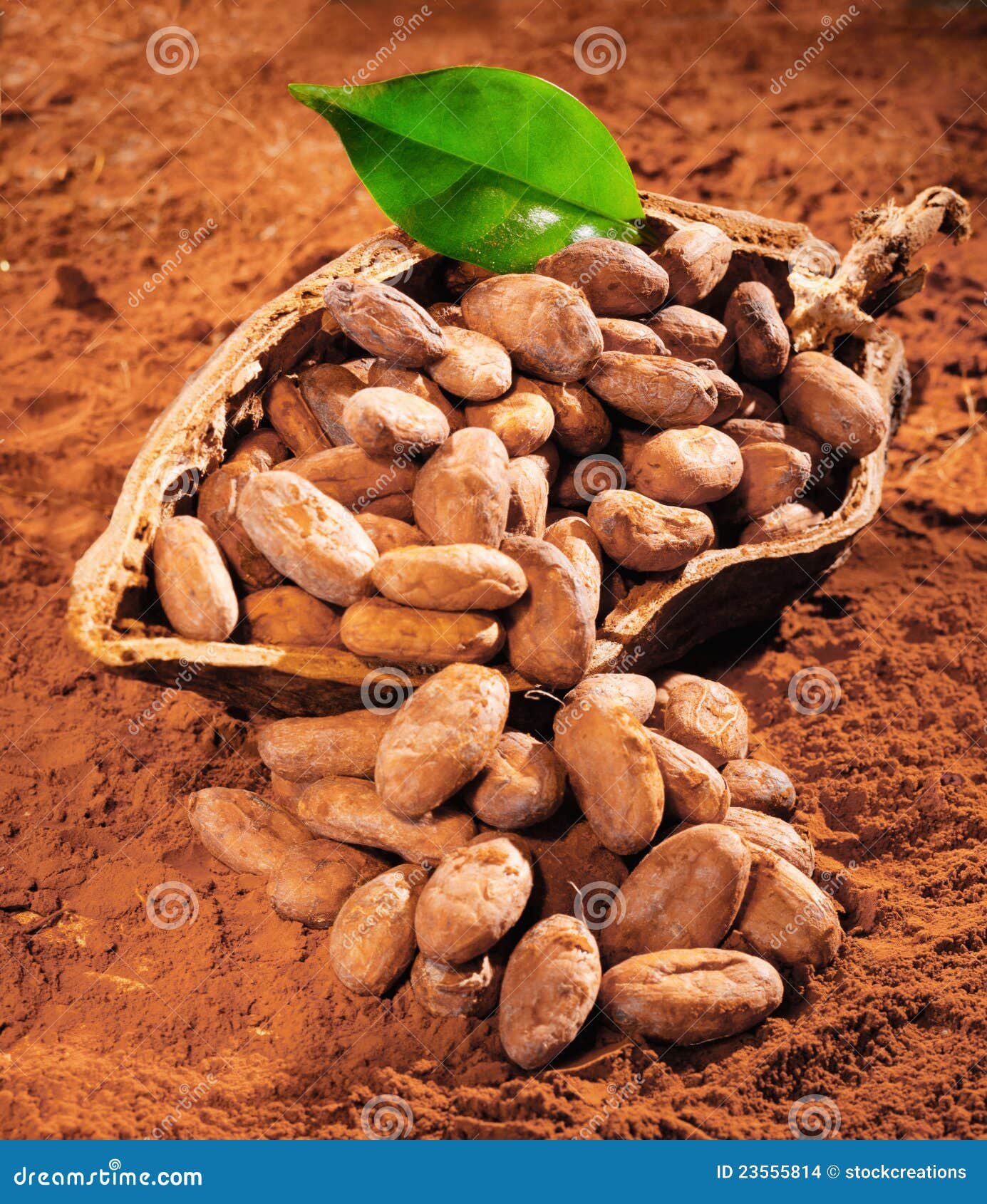 Cocoa Beans Background Stock Image | CartoonDealer.com #23145991